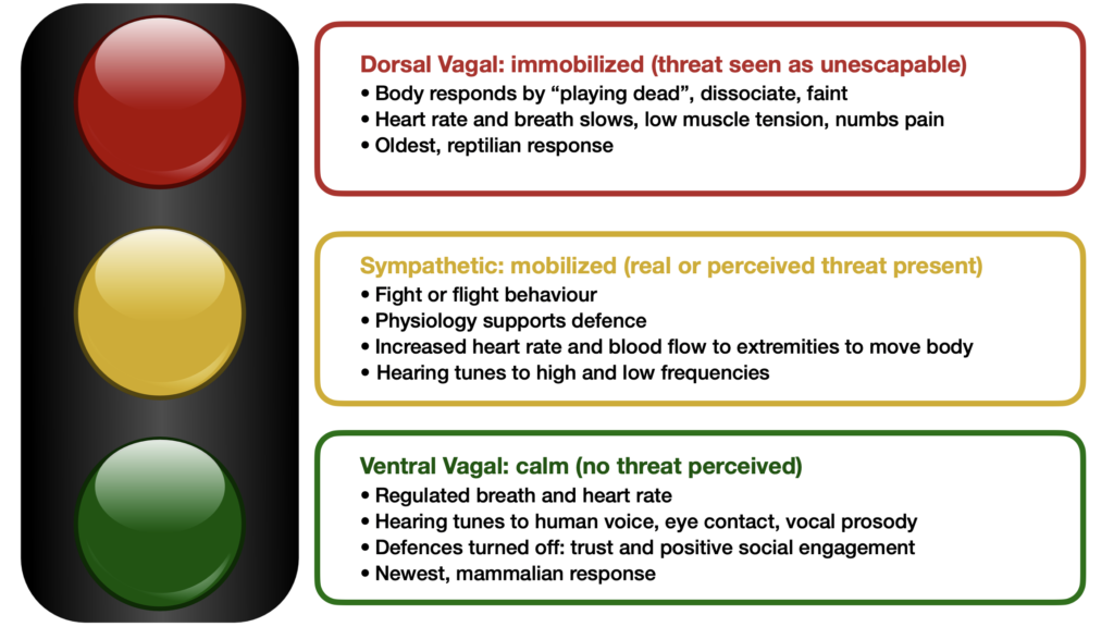 Polyvagal Theory - An Introduction - Living Systems Counselling